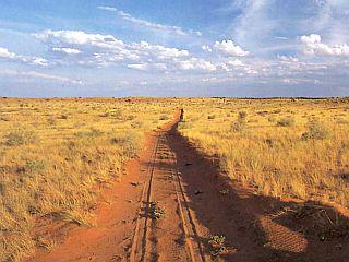 Bušmanom dovolili vrnitev v rodni Kalahari - RTV SLO