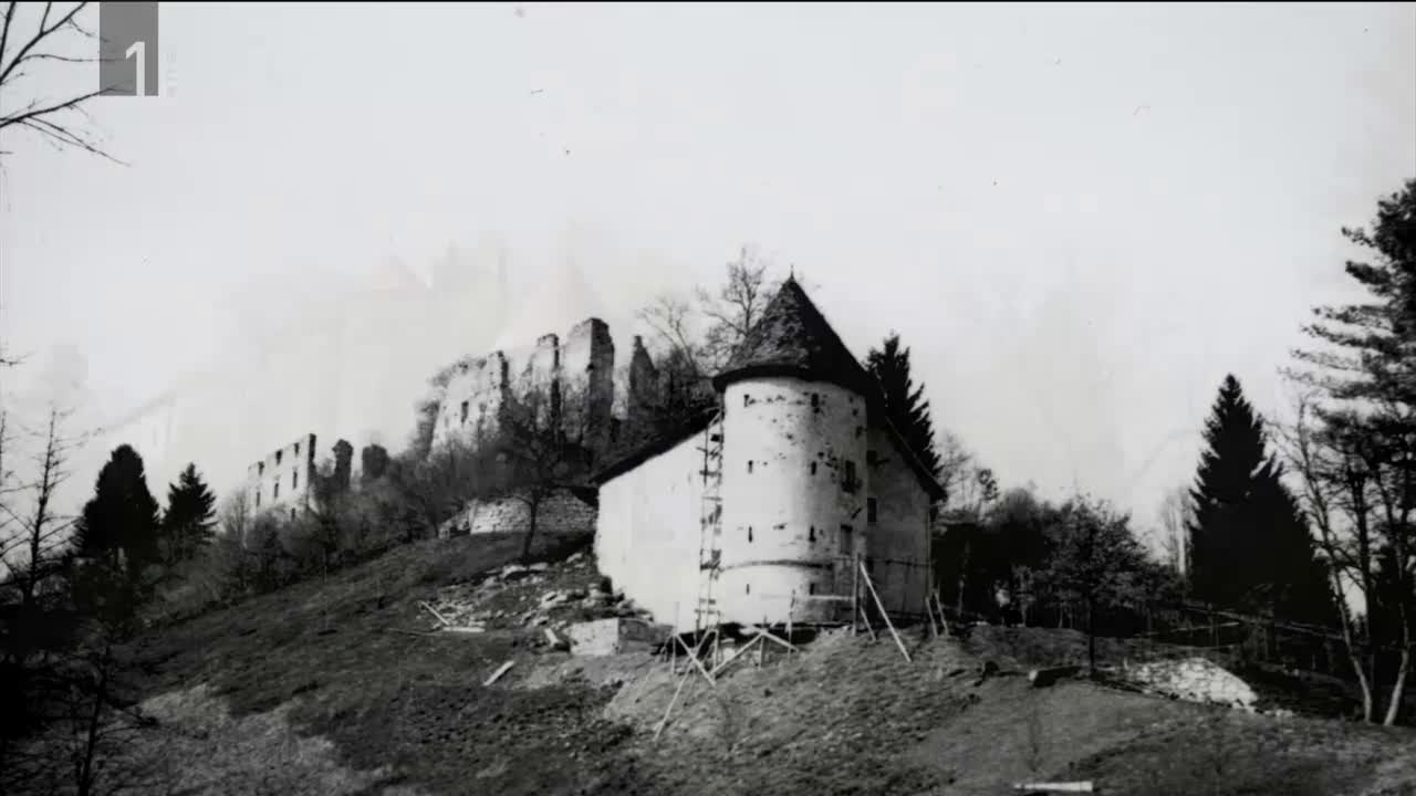 Mirna – reka, naselje, dolina