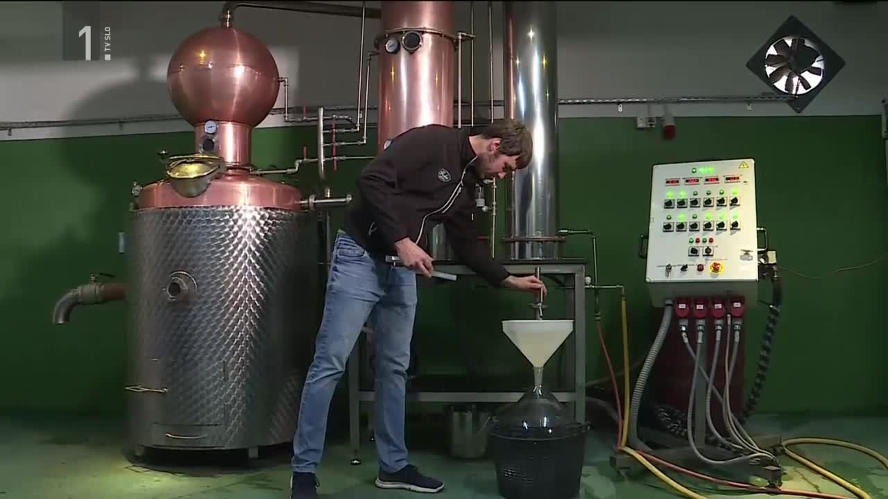 Ob kopičenju zalog vina možna krizna destilacija
