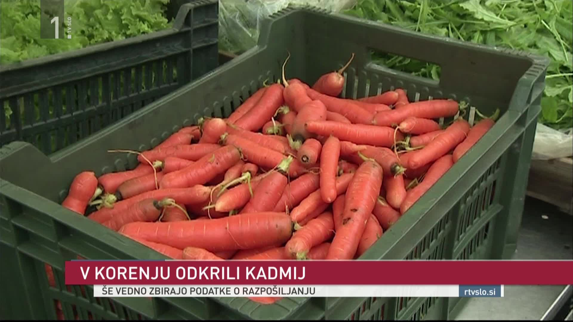 V korenju odkrili kadmij