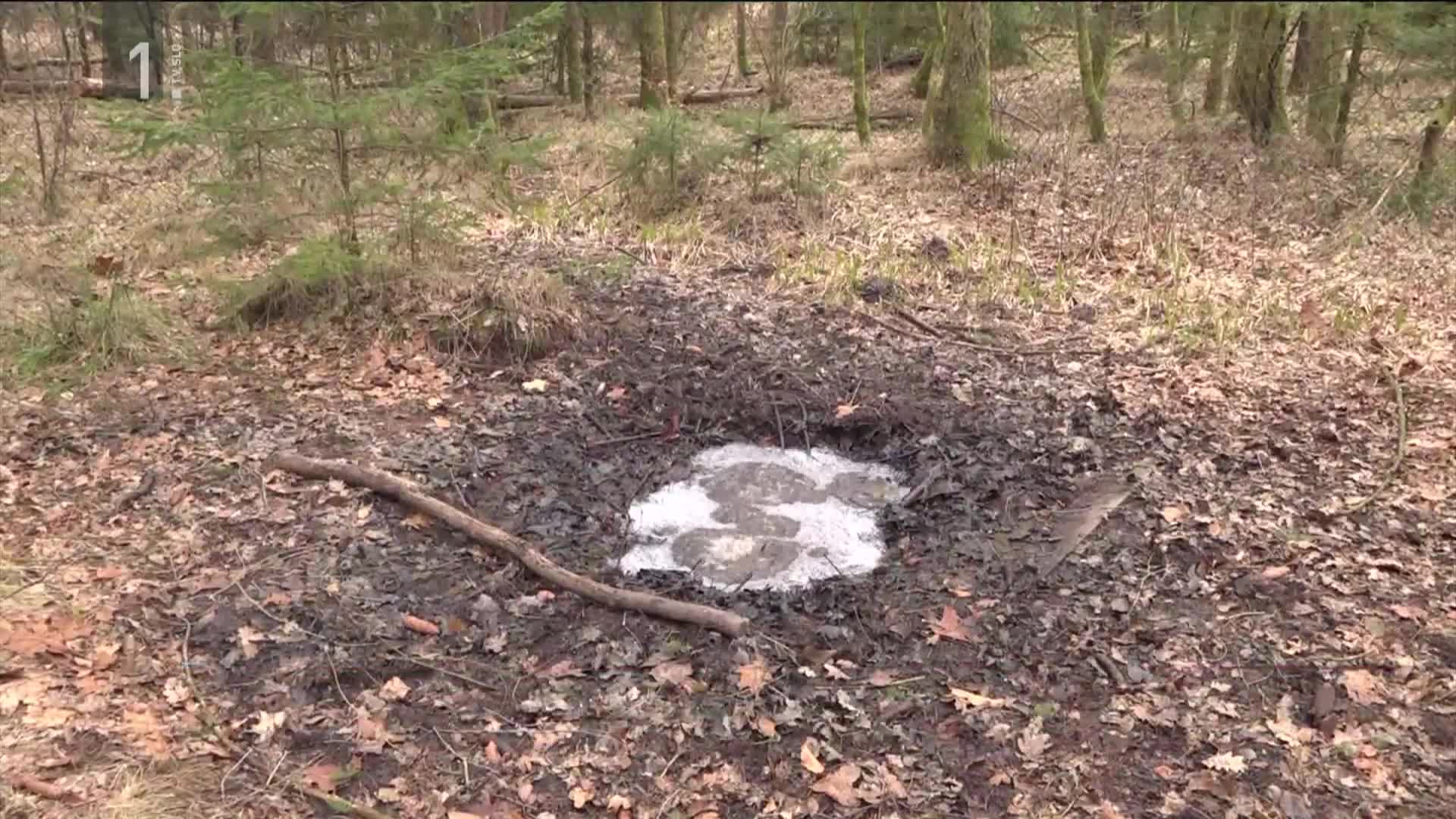 Skrivnostne mofete v Ščavniški dolini