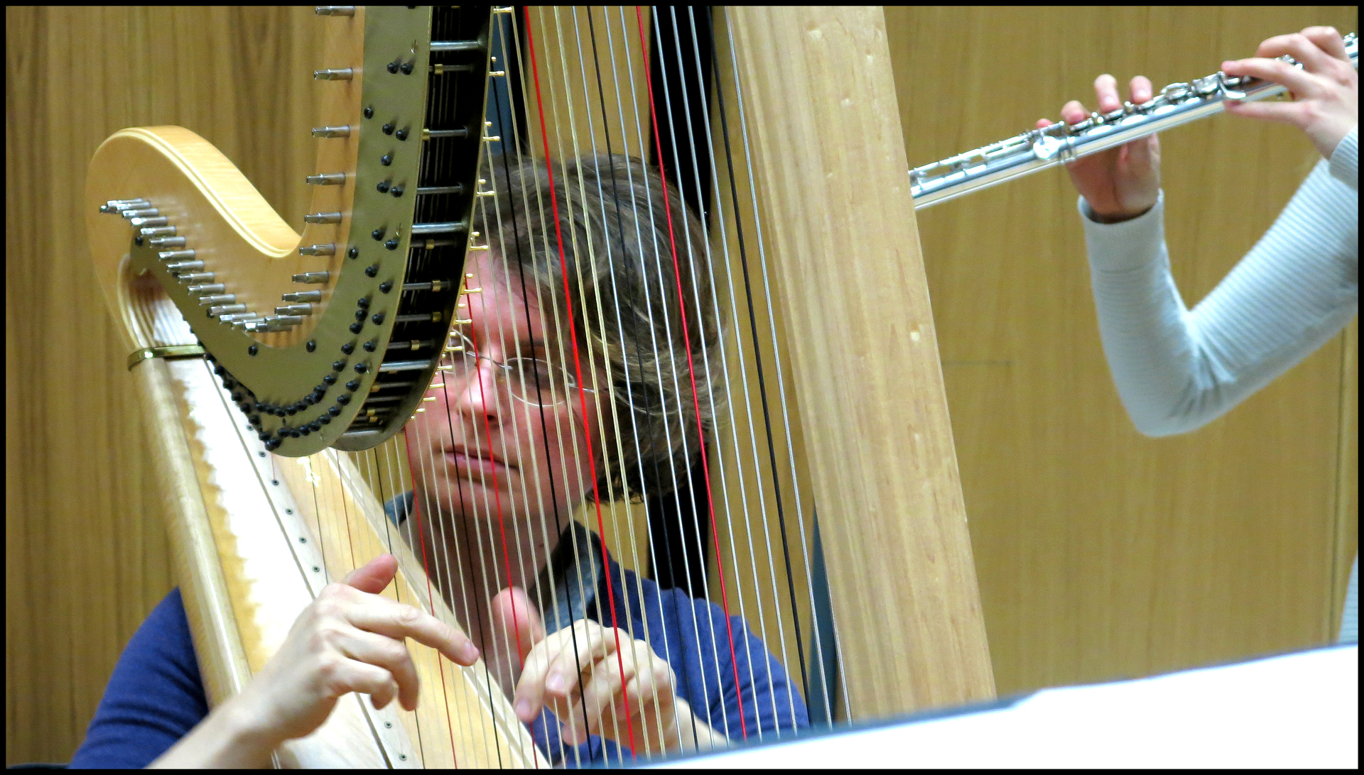 Harfistka Sofia Ristić: koncerti z orkestrom