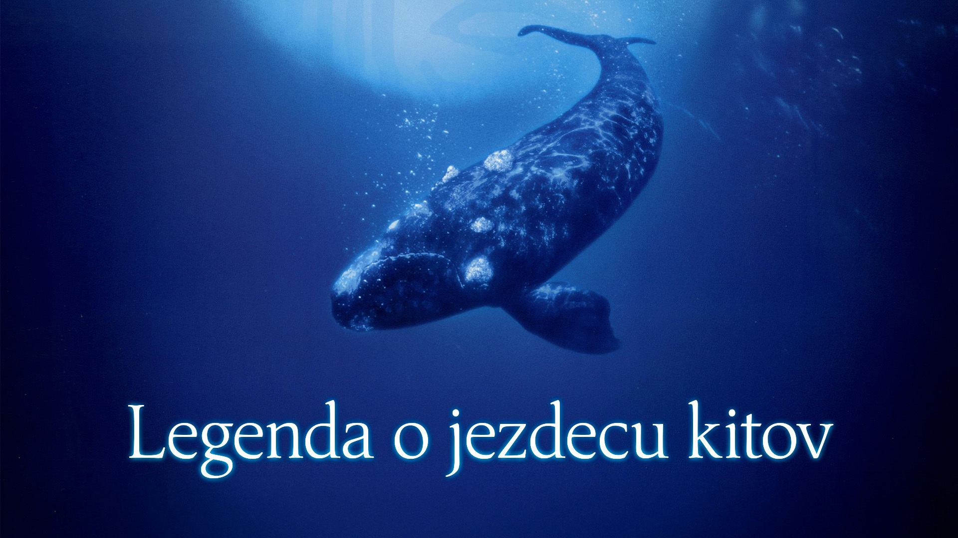 Legenda o jezdecu kitov