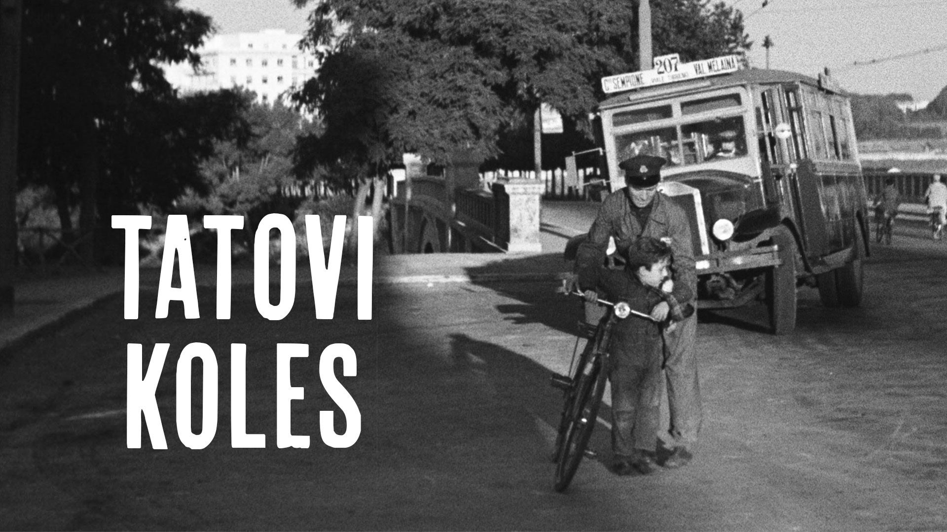 Tatovi koles