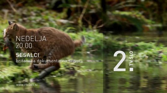 TV Spored - Val 202 - RTV SLO