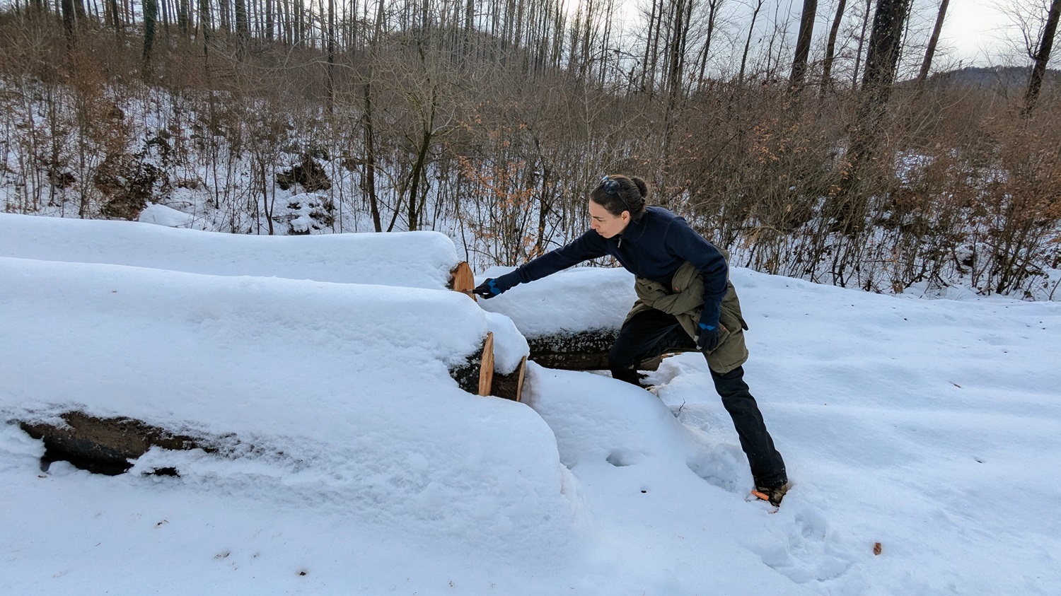 Val 202 • Frekvenca X • Sonaravno upravljanje planeta: Sekati ali ne sekati