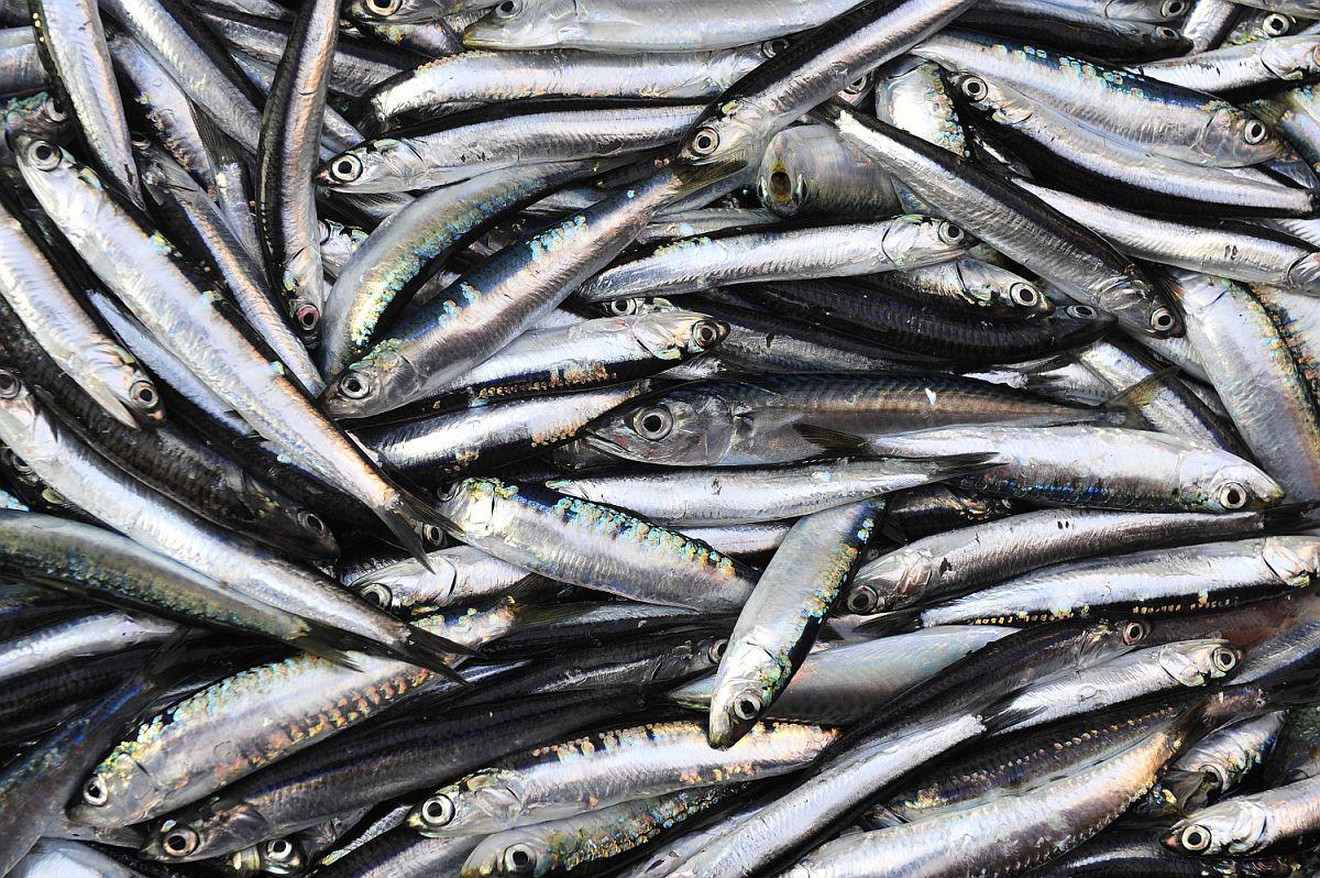 Slovenka na vrhu italijanske gastronomije – Hiša Franko med 18 ...