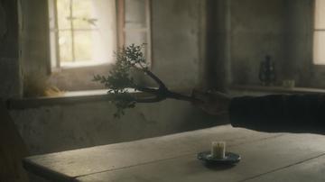 Pregled leta: najboljši filmi v letu 2024 - RTV SLO