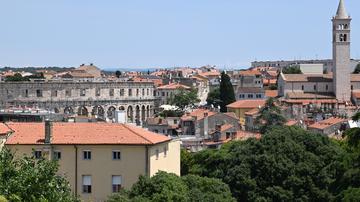 Ramoscello d'Oro d'Olivo 2026 - RTV SLO